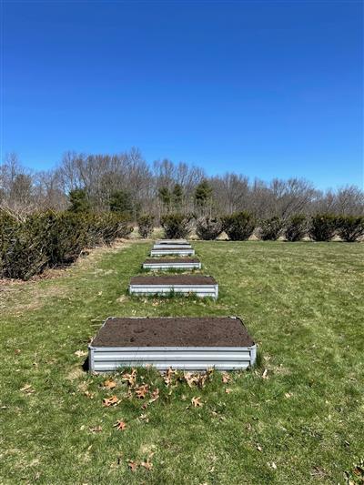 Boylston Parks and Recreation: Community Garden Plots!